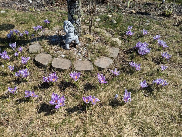 Spacious And Peaceful Garden Apartment In Quiet Nashua Neighborhood With Wifi - Silver Lake State Park, Hollis