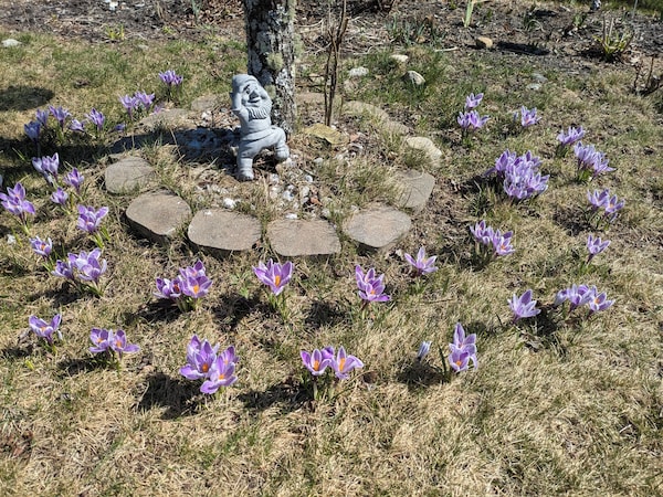 Spacious And Peaceful Garden Apartment In Quiet Nashua Neighborhood With Wifi - Londonderry, NH