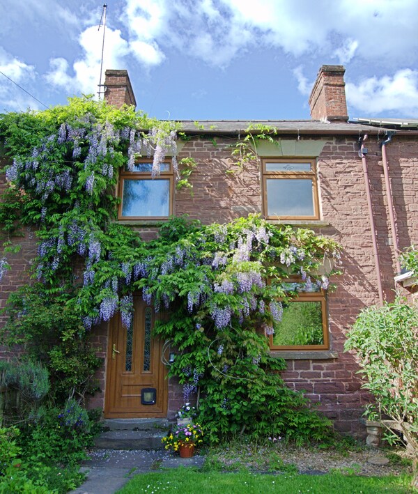 Cosy 18th Century Cottage. Pet Friendly. Absolute Tranquility! - Cotswolds