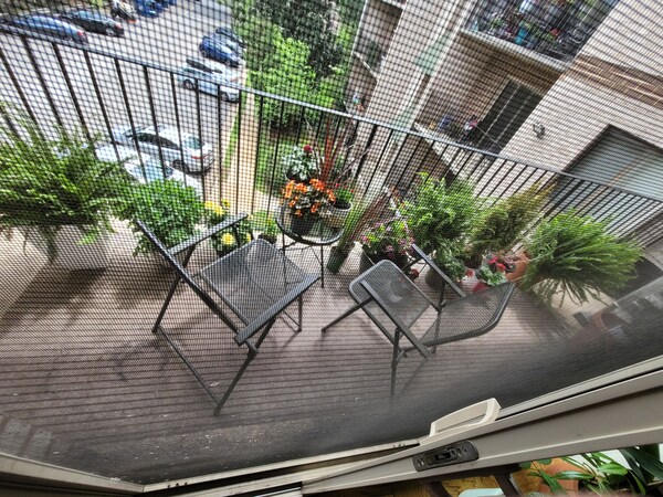 Charming 1-bedroom Apartment With Wifi, Ac In Peaceful Takoma Park, Edge Of Dc - Washington, DC