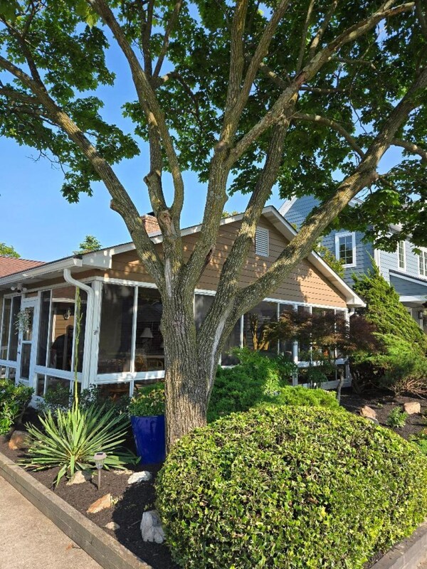Big Porch, Short Walk To Rehoboth Beach & Boardwalk, Sleeps 10, Lots To Offer! - Rehoboth Beach, DE