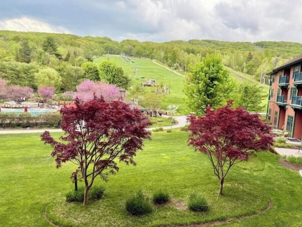 Condo At Mtn Creek 1 Bdr 1 Bath Sleep 4 Mtn View #308 - Hamburg, NJ