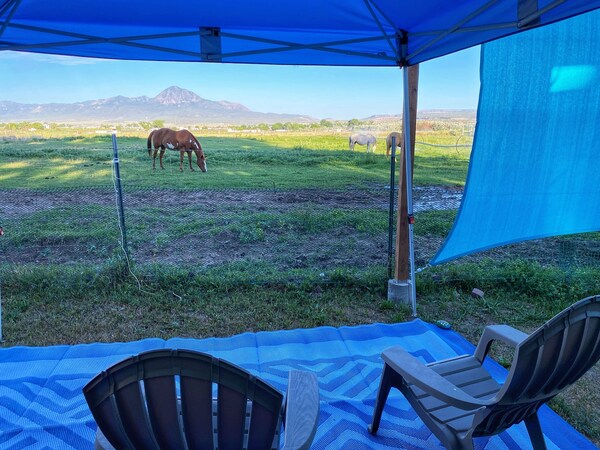 Charming Tiny Home/ School Bus Conversion In Marvelous Cortez With Wifi - Cortez, CO