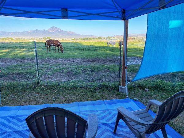 Charming Tiny Home/ School Bus Conversion In Marvelous Cortez With Wifi - Cortez, CO