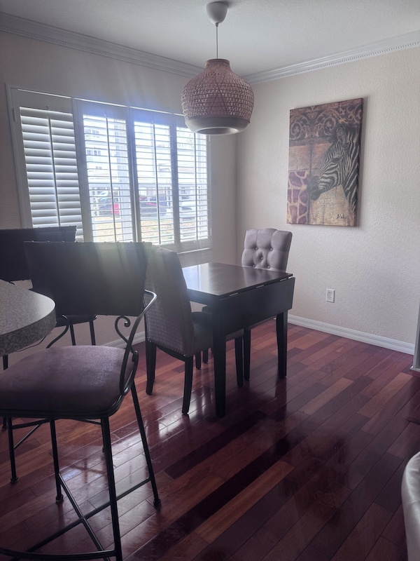 Brithday Suit Suite With Wifi In Paradise Lakes Clothing Optional Complex - Odessa, FL