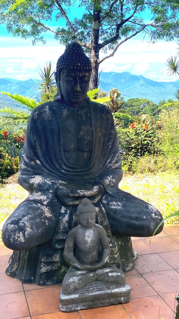 Gorgeous Apartment With Amazing Views On Mountain Top Surrounded By Rainforest - Tyalgum