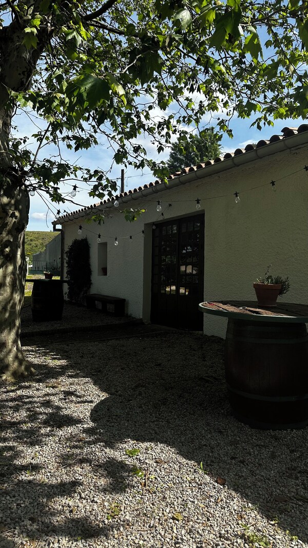 Domaine Castelnaut : Gîte Et Château - Aude
