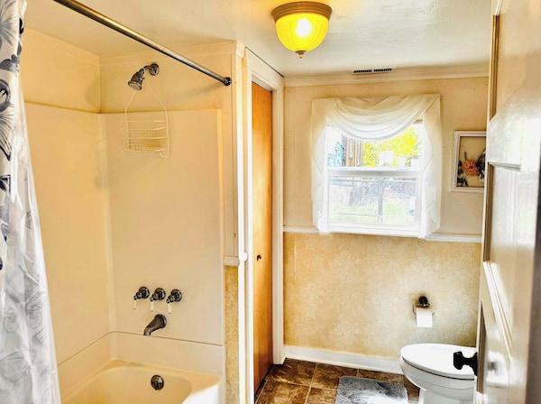 2br, Bike Storage, Pet Friendly, Walk To Main St - Leadville, CO