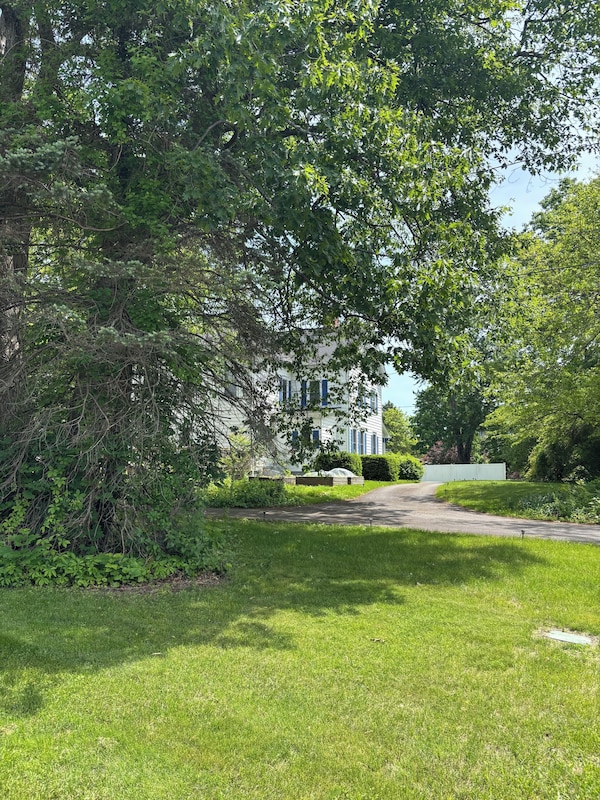 Bright Bedroom Near The Forest - Tivoli, NY
