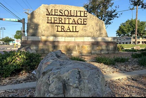 Luxury 4br Retreat 10 Min To Downtown & Lake - Mesquite, TX