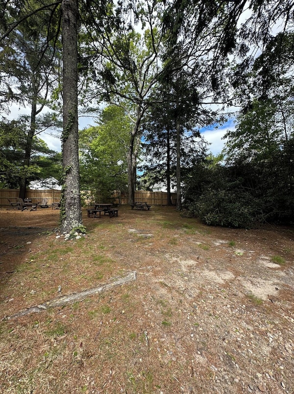 6bedroom, 4bath, Chefs Kitchen, Central Air, Ping Pong, Walking Distance To Town - Oak Bluffs, MA