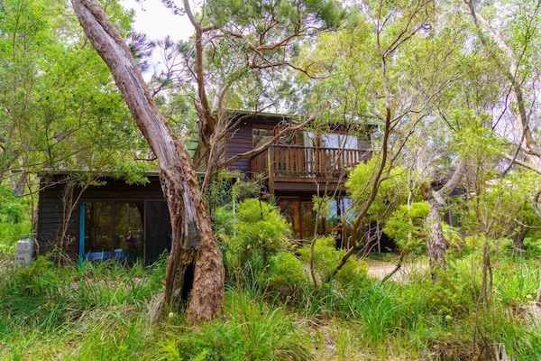 Bimbi Forest Eco Lodge - Denmark - Western Australia