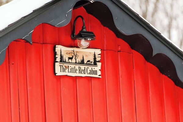 Cozy Lil Red Cabin; Water Frontage, Dog Friendly! - Torch Lake, MI