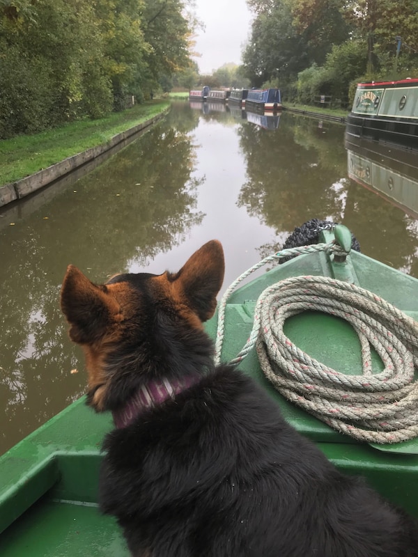 Stone - Boat - Sleeps 4 - Pet Friendly-85ws - Shropshire