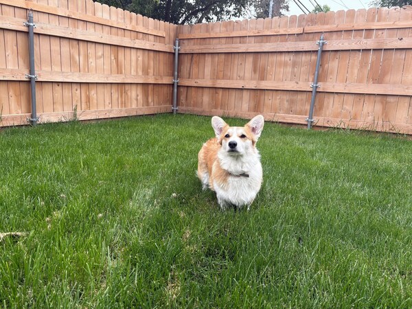 Perry Pup House  Vintage Charm, Dog-friendly, Walk To Cafés/brewery - Spokane Valley, WA