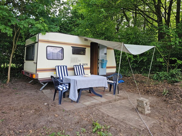 Close To Nature And Yet Central! Spend The Night On The Sagter Ems - Ostrhauderfehn