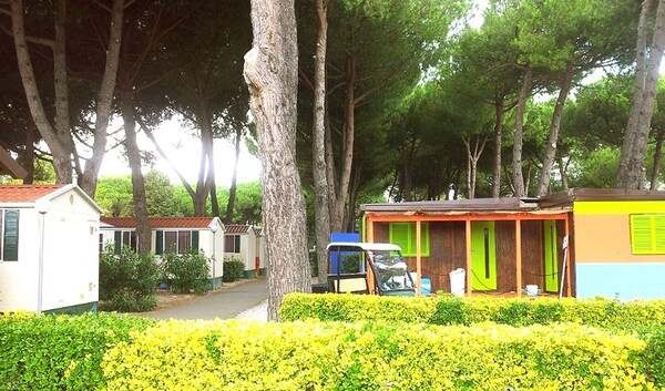 Italian Holidays, Mobile House 4 Mh 446 - Ameglia
