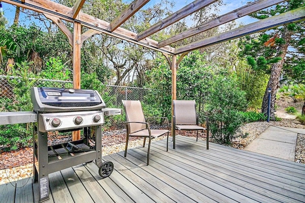 Tranquil Seas - Pet Friendly Beach Home - New Smyrna Beach, FL