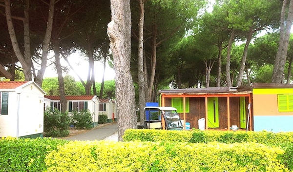 Italian Holidays, Mobile House 5 Mh 447 - Ameglia