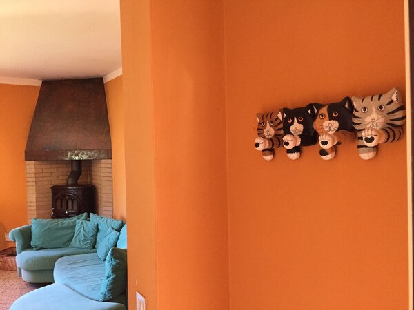 Borgo Paradiso- Spacious 4-bedroom Farmhouse On 2 Floors, Sleep 12. Pet Friendly - Malcesine