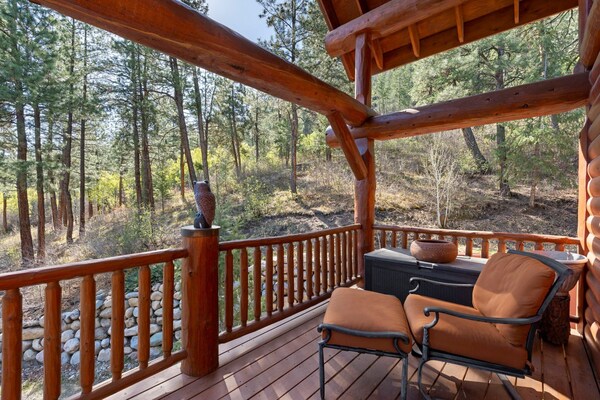 Hot Tub, Wildlife Viewing, Close To Vallecito Lake! - Bayfield, CO