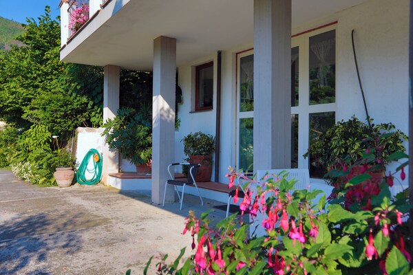 Parte Di Asa Con Giardino E Piscina - Pietrasanta