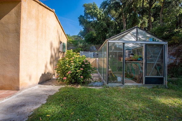 Chambre "Cigale" Avec Piscine Partagée, Wi-fi Et Climatisation - Le Lavandou