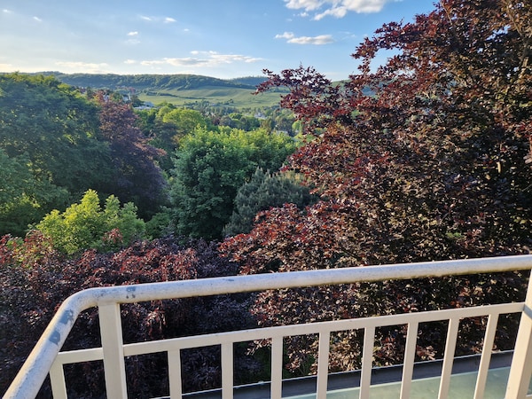 1-bedroom Apartment Vienna, Austria With Wifi And View And Walking To Vineyards - Vienne