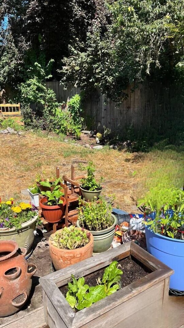 Whimsy & Ivy: Pet Friendly, Large Backyard - Albany, OR
