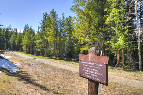 New! The Belmont Lodge On Peak 8, Nordic Trail Access Year-round! - Breckenridge, CO