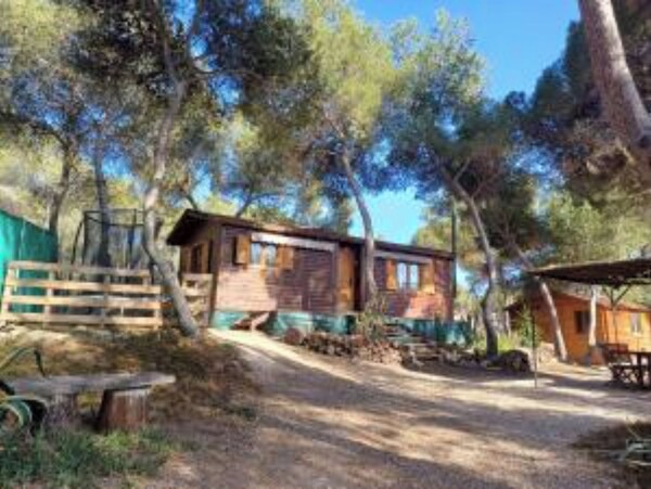 Wooden House - Tibi