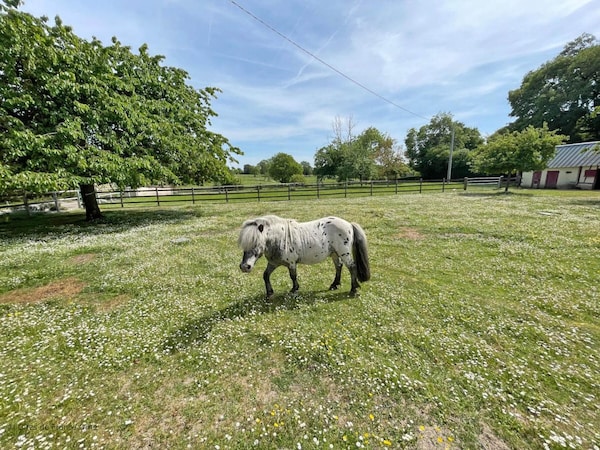 Grande Maison De Campagne Avec Wifi, Animaux Admis - Orne
