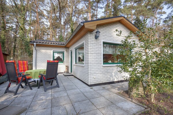 Herzlich Willkommen Im Ferienhaus Matthies In Kölpinsee Auf Usedom. - Koserow