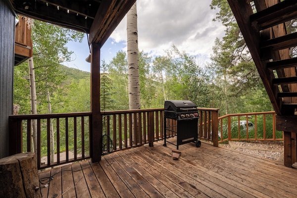 Iconic Vail Landmark, Unique Dome Home | B2 - Vail, CO