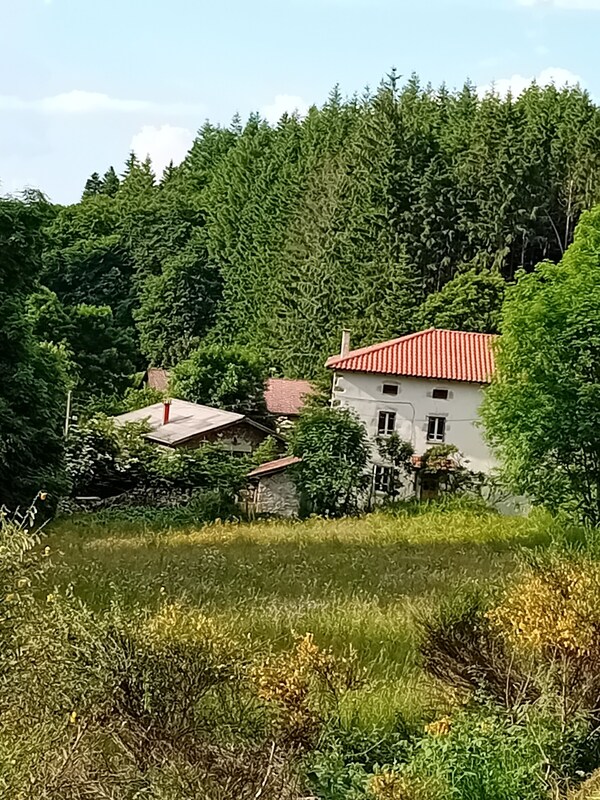 Maison De Campagne Au Calme A L Orée De La Foret Havre De Paix - La Chaise-Dieu