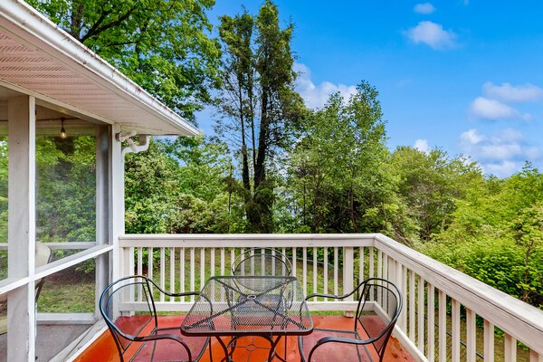 Dog-friendly House With Outdoor Deck, Gas Fireplace And Mountain Views - Hiawassee, GA