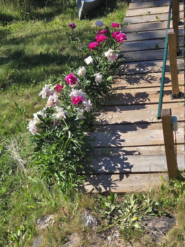 Charming 2-bedroom On Cluculz Lake. - British Columbia