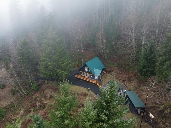 The Peak: Hot Tub + Mt. Views - Packwood, WA