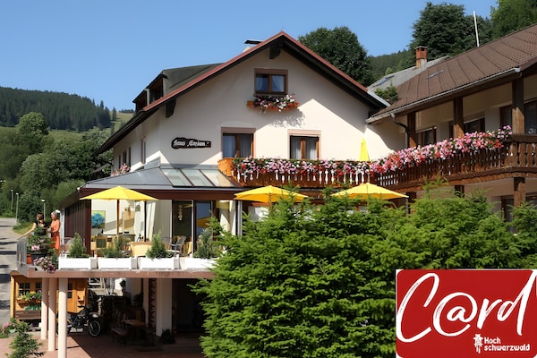 Zimmer 'Doppelzimmer' Mit Bergblick, Privater Terrasse Und Wi-fi - Todtnauberg