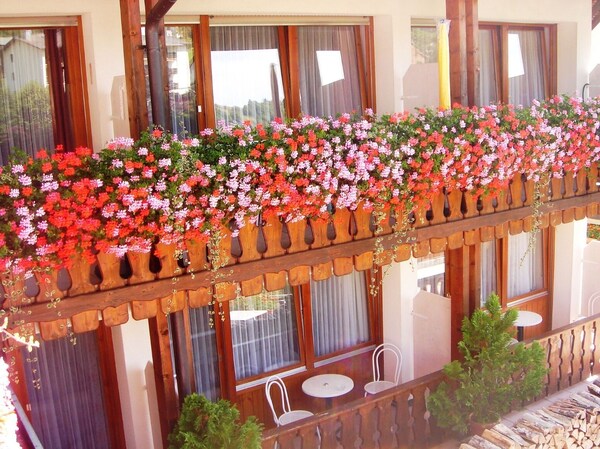 Room 'Doppelzimmer' With Mountain View, Private Terrace And Wi-fi - Todtnau