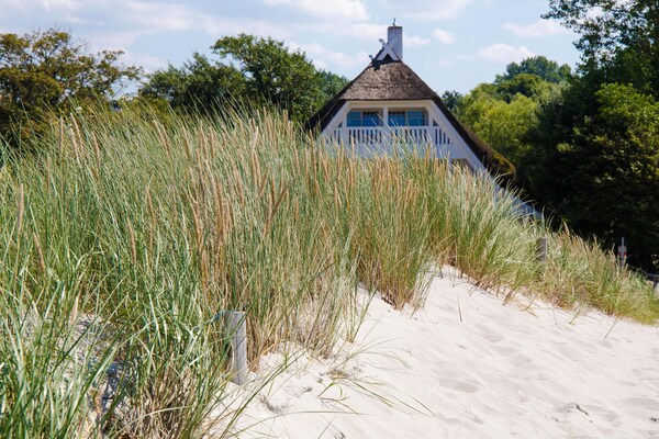 Strandhaus Claassen 10 - Ahrenshoop