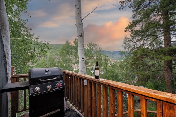 Iconic Vail Unique Dome Home In Mtns | B3 - Vail, CO