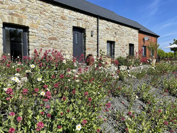 Ty Hen Farm Dairy, Penbryn - Llangrannog