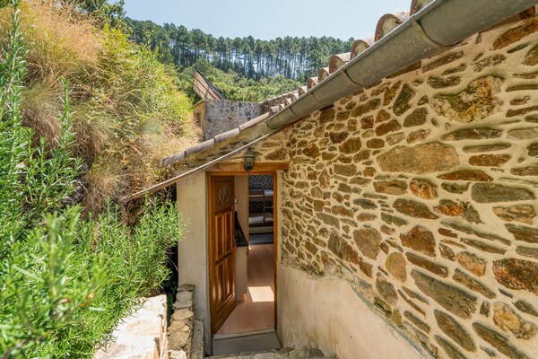 Maison Le Mas De La Brousse  Nature, Confort Et Charme Au Cœur Des Cévennes - Parc national des Cévennes