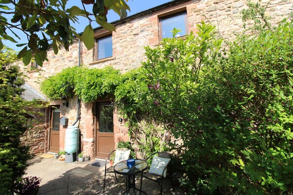 Rayson Farm Hall Barn, Ousby - Meet The Resident Cows, Sheep & Horses - Northumberland