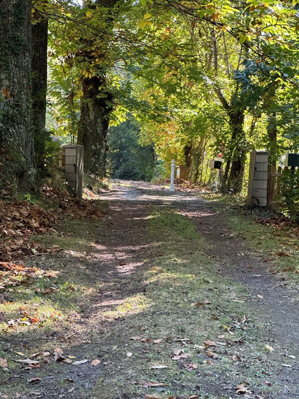"Le Moulin De Camelière" \Nretour Aux Sources Dans La Montagne Noire - Mazamet