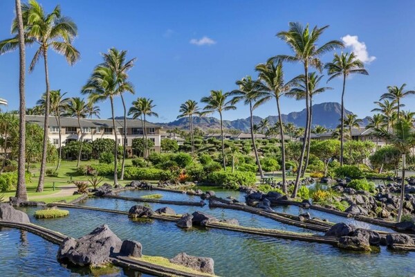 Oceanfront Escape By Coastal Trails + Outdoor Pool + Full Kitchen - Kauai, HI