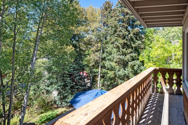 Christiania 308 - Mountain View - Vail, CO