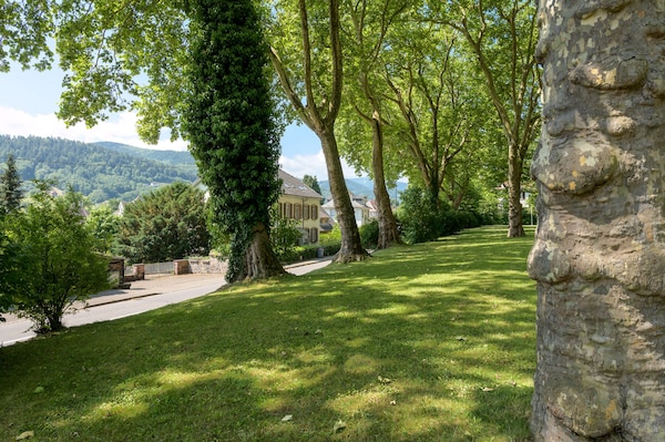 Apartment 'Au Petit Meuh'ster' With Mountain View, Shared Garden And Wi-fi - 멍스떼흐