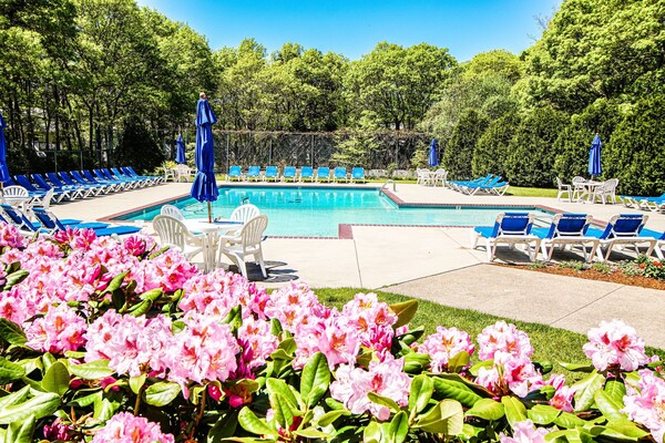 2br Condo In Cape Cod W/ Patio & Laundry - Sandwich, MA